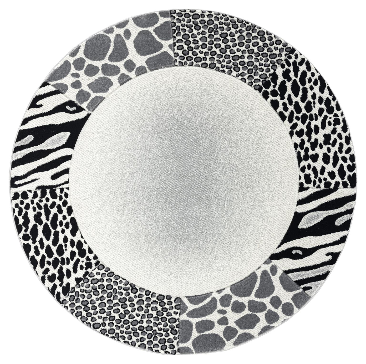 Crystal rug Collection (CT02) – Midwest Furniture Liquidators